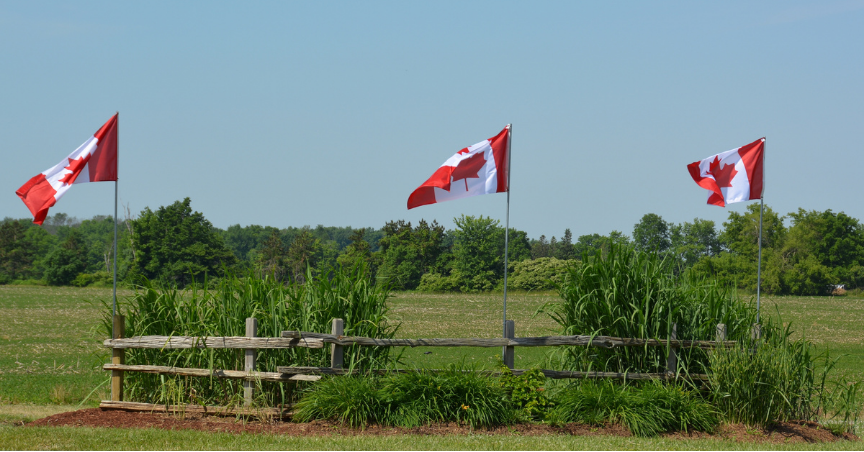 EH-2-ZED Shop Online& Instore Home & Lifestyle Products Made in Canada